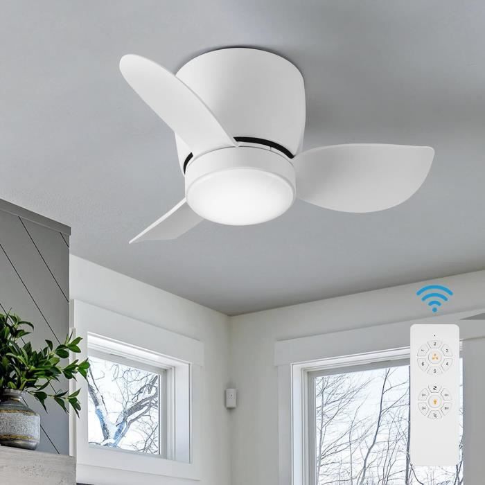 CANEOE Ventilateur de Plafond avec Lere, 55cm Ventilateur de Plafond ...