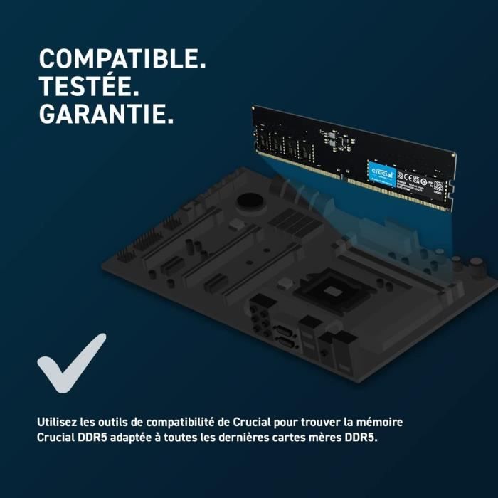 Mémoire RAM - CRUCIAL - Kit DDR5-4800 UDIMM - 16 Go : 2x8 Go ...