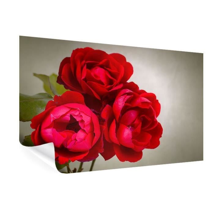 Poster Trois roses rouges 30 x 20 cm - Cdiscount