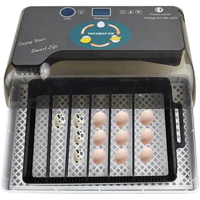 Couveuses oeufs Automatique pour Volaille avec Éclairage À Haute ...
