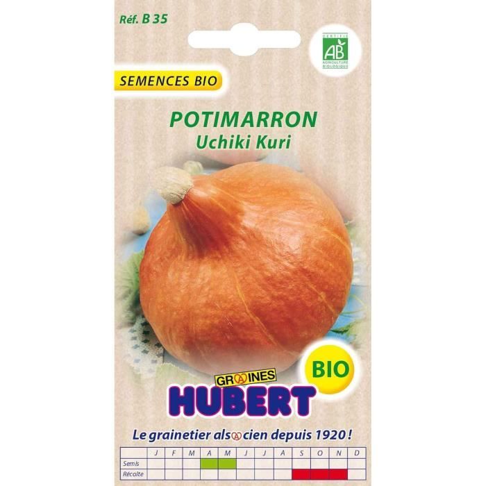 6 Graines de Potimarron Uchiki Kuri BIO.[G1053] - Cdiscount Animalerie