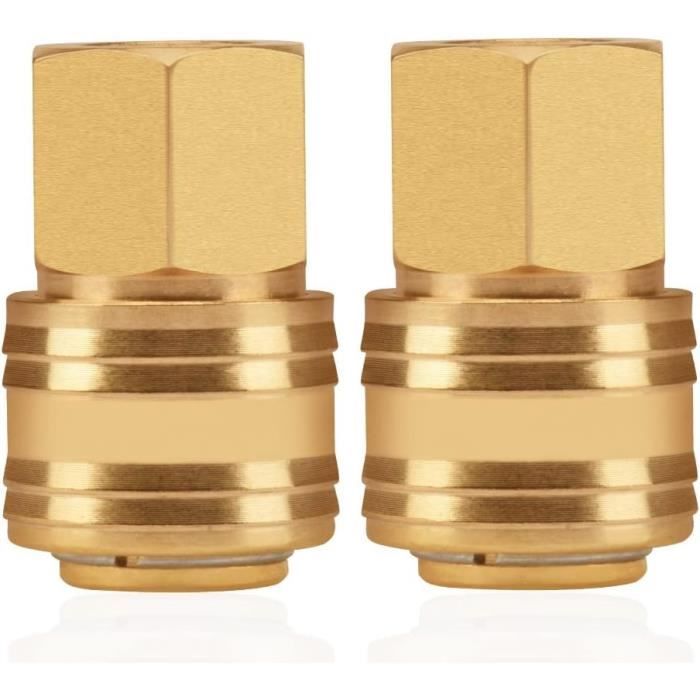 2 Pcs Raccord À Air Comprimé Connecteur Femelle 1-4 "Filetage Femelle Laiton Filetage Femelle 1 ...