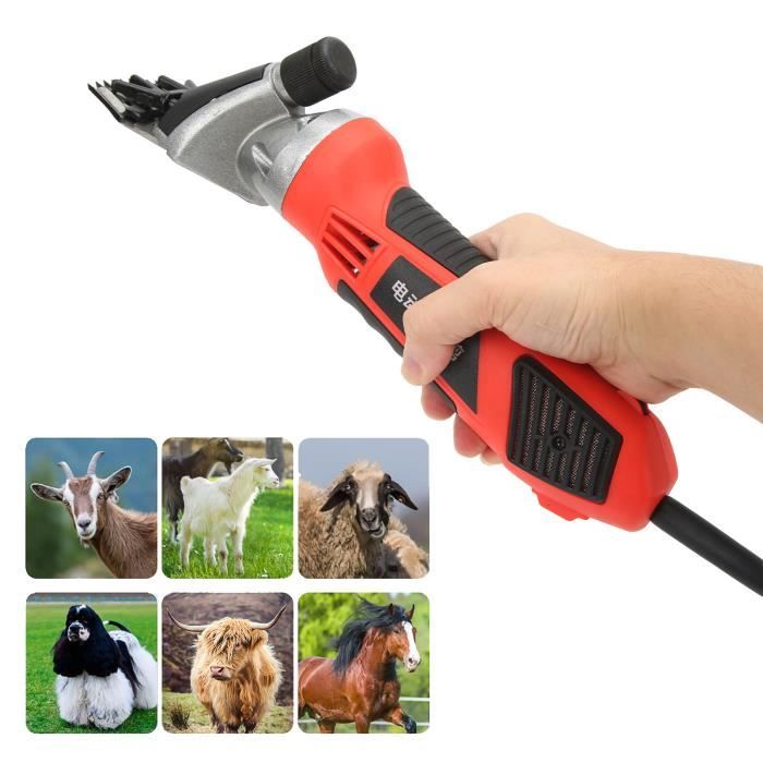 Cisailles à Moutons Pal Tondeuse électrique 1000w 6 Vitesses