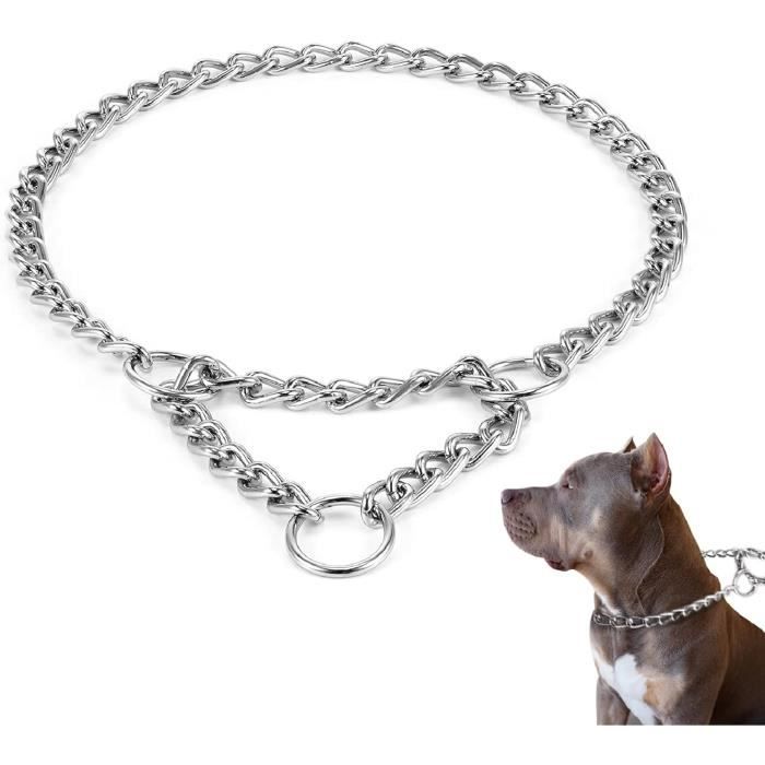 Collier Chien Collier Chien En Acier Collier De Dressage Pour Chien ...