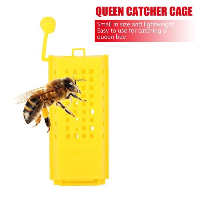 GOTOTOP Queen Cage 10 pièces en plastique Queen Bee Cages transportant ...