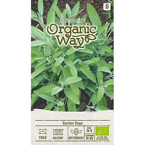 Organic Way | Sauge Du Jardin Des Graines | Graines D'Herbes | Graines ...