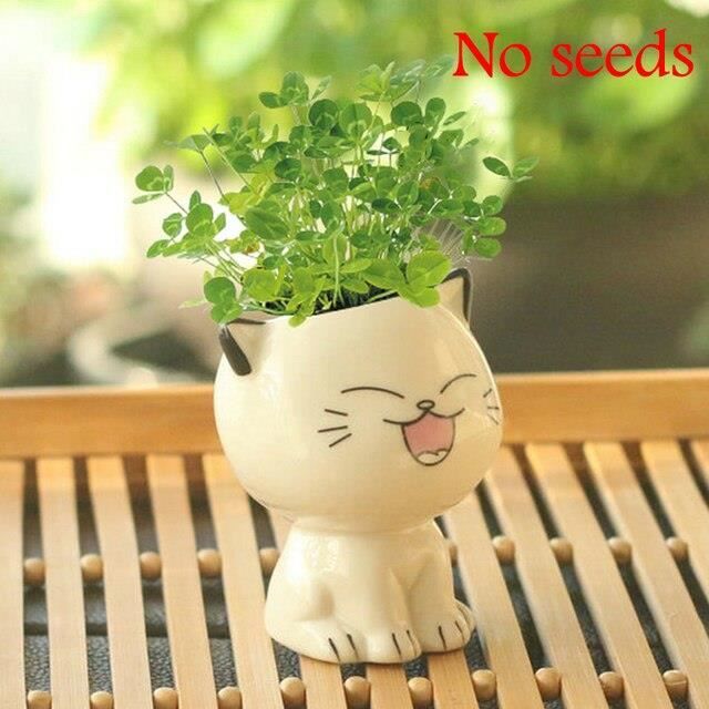 POT DE FLEUR,Smile--Mini Pot de fleurs en céramique en forme de chat ...