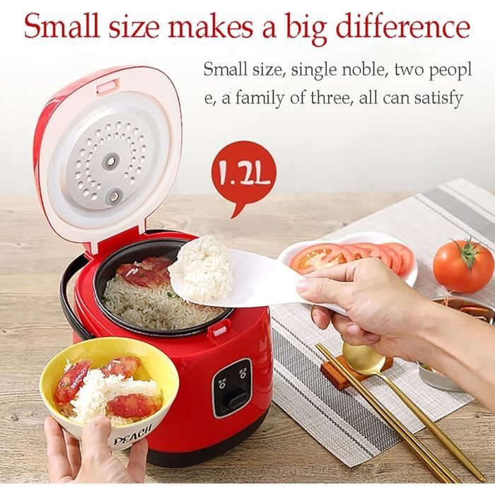 Multicuiseur-Vapeur Moyenne Électrique Portable Multifonctionnel ...