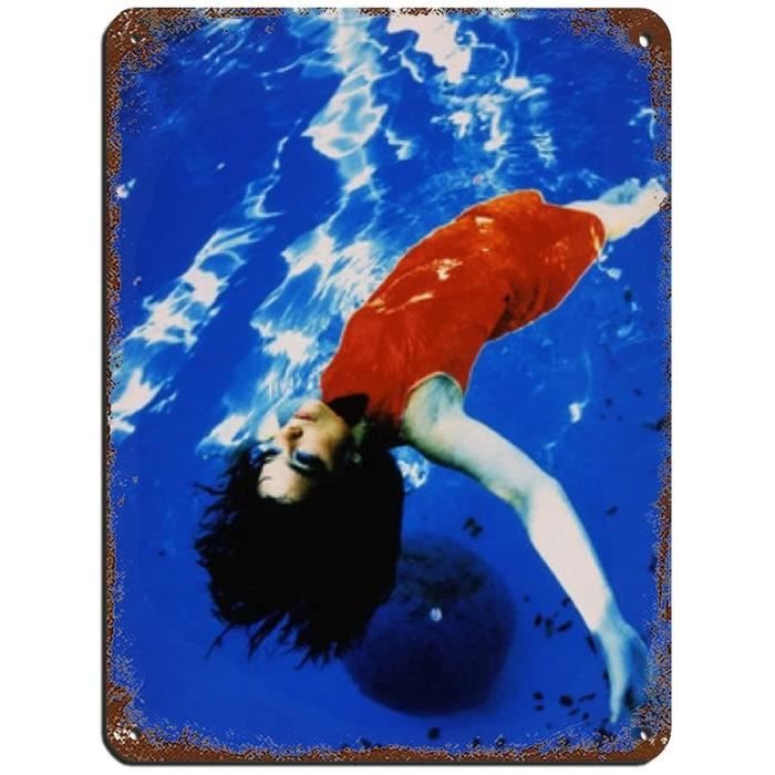 Bjork Singer Affiche rétro en métal chic Art rétro décoration murale ...