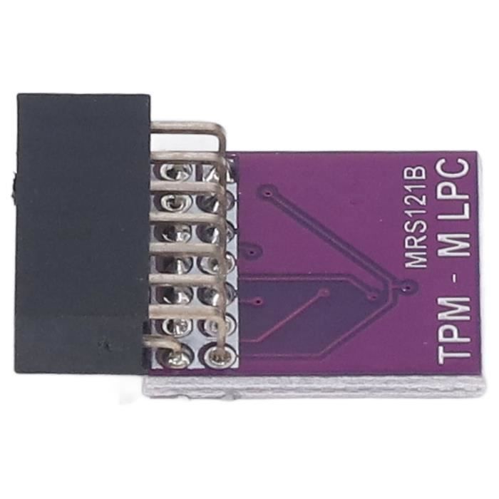 Module de sécurité - ZJCHAO - TPM 2.0 - LPC 14 Broches - Cryptage ...