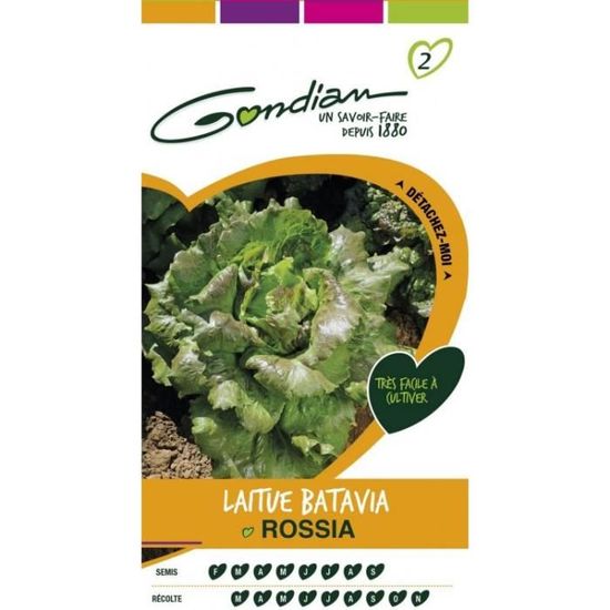 Gondian Laitue Batavia Rossia Vert - 541610 - Cdiscount Jardin