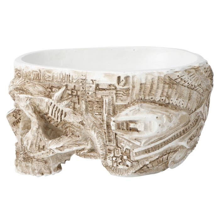 ZJCHAO pot de plante Pot de fleur en forme de crâne en résine innovante ...