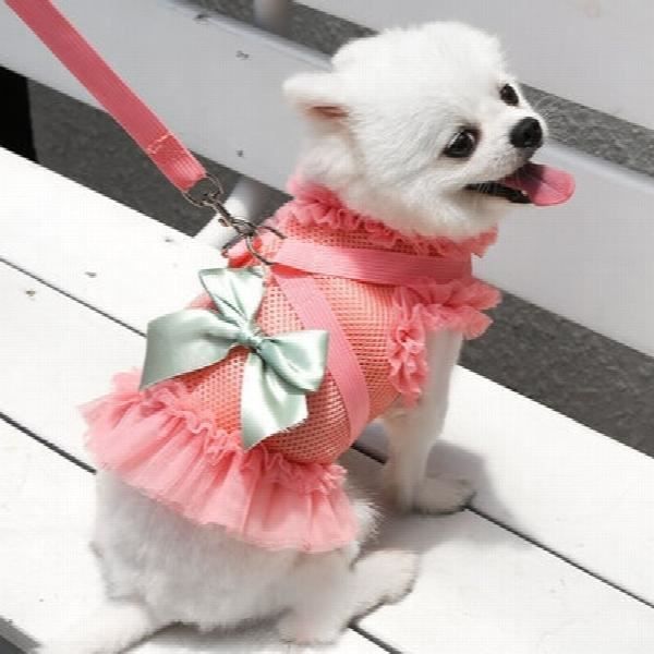 Lace Pet Dog Harness Leash Set Breathable Mesh Puppy Breast-Band ...