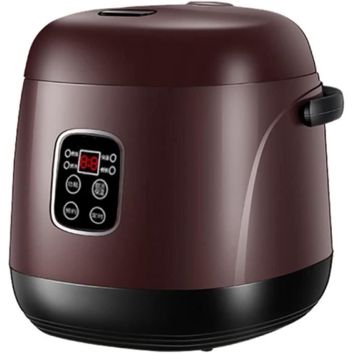 Cuiseur Riz Vapeur Electrique Cuiseur À Riz Compact Et Cuiseur À Vapeur ...