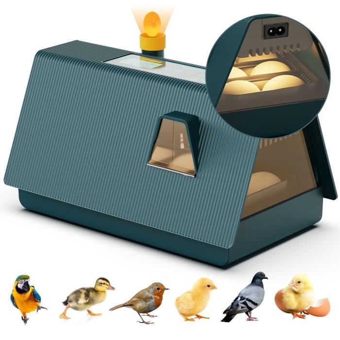 Crypt Horror Keeper Embroidered Iron On Patch For Sale Crypt Horror ...