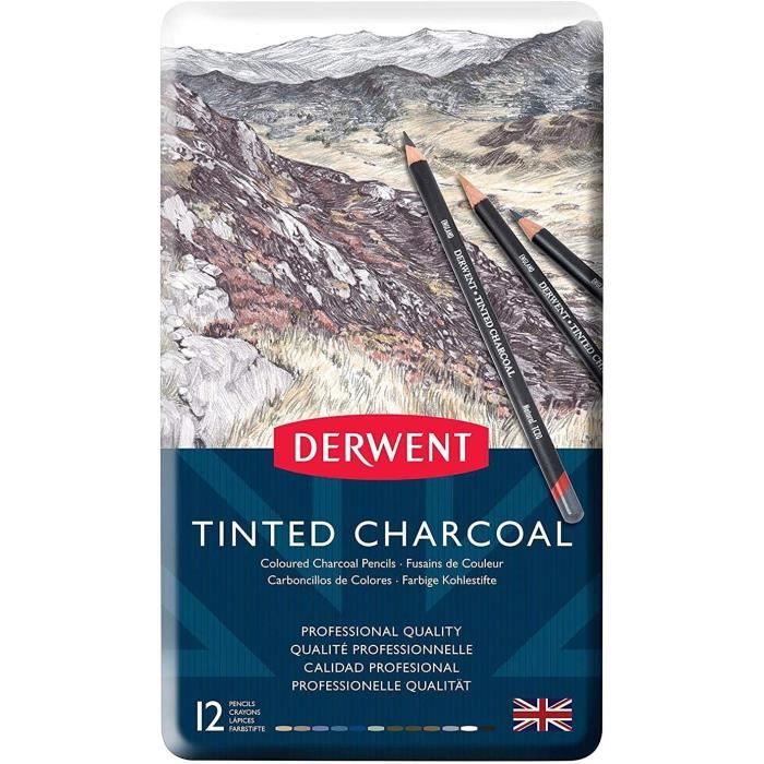 Derwent Tinted Charcoal - Set de 12 Crayons Fusains de Couleurs ...
