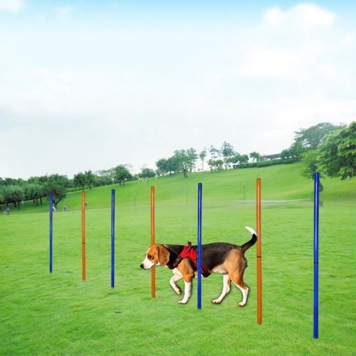 Dog Agility Equipment Training Pet Running Obstacle Poles Training ...