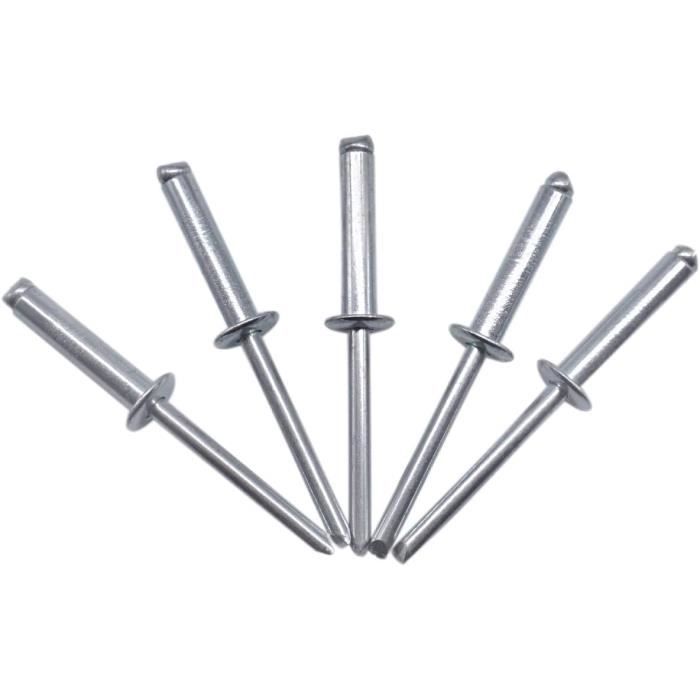 Lot De 100 Rivets Aveugles 4,0 X 20 Mm, Tête Bombée Ouverte, Din 7337 ...