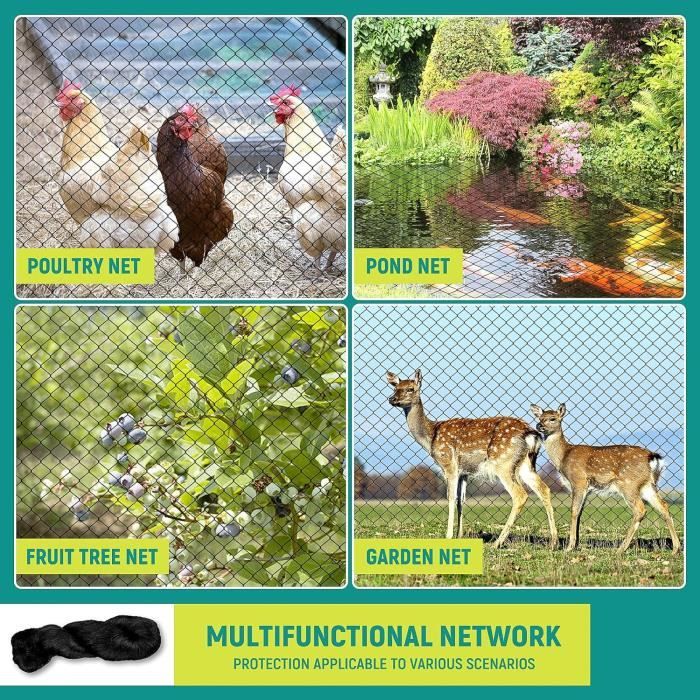 Filet Anti Oaux Voliere - Filet Poules de Protection Mailles de 25mm x 25 mm - Polyvalente Filet ...