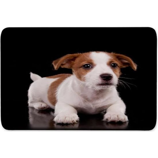 Jack Russel Terrier Tapis De Sol Camping Antidérapant 3D Motif Entrée ...