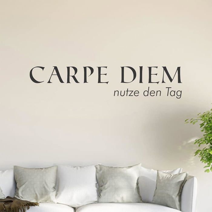 Carpe Diem Sticker Mural Sticker Mural Wall StickersU20136Tailles ...