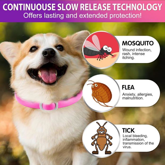 Collier Anti-Puces Pour Chiens (4 Pièces), Collier Anti-Puces Réglable ...