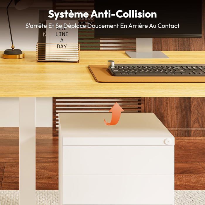 SANODESK Bureau Assis Debout, Plateau Complet 110x54cm, Système Anti ...