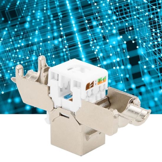 Prise Keystone Blindée CAT6A, Interface Réseau Gratuite Module ...