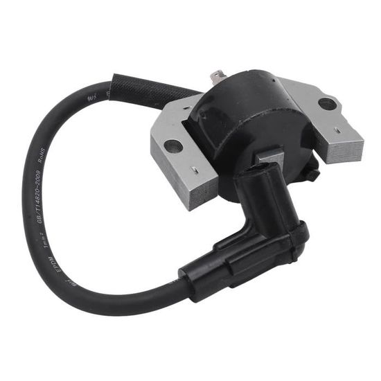 VINGVO Bobine d'allumage de moteur Pièces de rechange des véhicules à moteur en métal de bobine ...