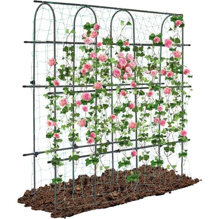 Plante Grimpante Pour Treillis