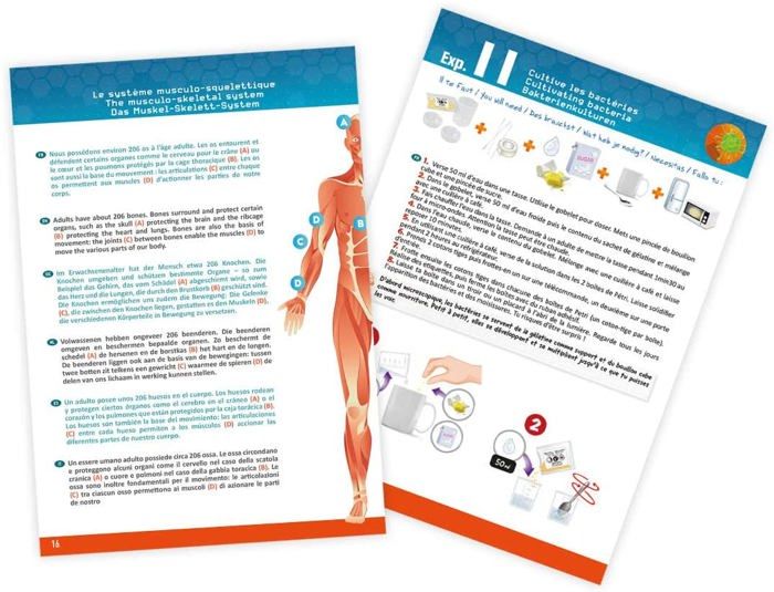 Modèle de corps humain - Buki France - 12 expériences - Organes mous ...