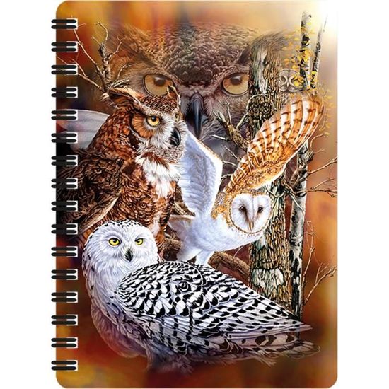 Bloc-Note - Chouette Des Bois De Deluxebase. Carnet À Spirale A6 Art ...