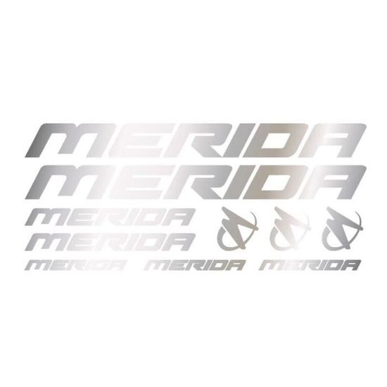 10 stickers MERIDA - ARGENT - Vélo VTT VTC BMX Course Route Cadre Bike ...