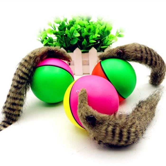 Dog and cat toys store