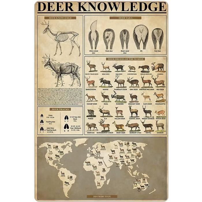 Affiche en métal sur le thème des animaux de la ferme - Deer Knowledge - 30x40cm - Cdiscount Maison