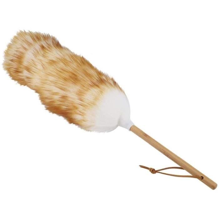Ménage Non Pelucheux De Plumeau De Ménage Nettoyage De Plumeau D Uster ...