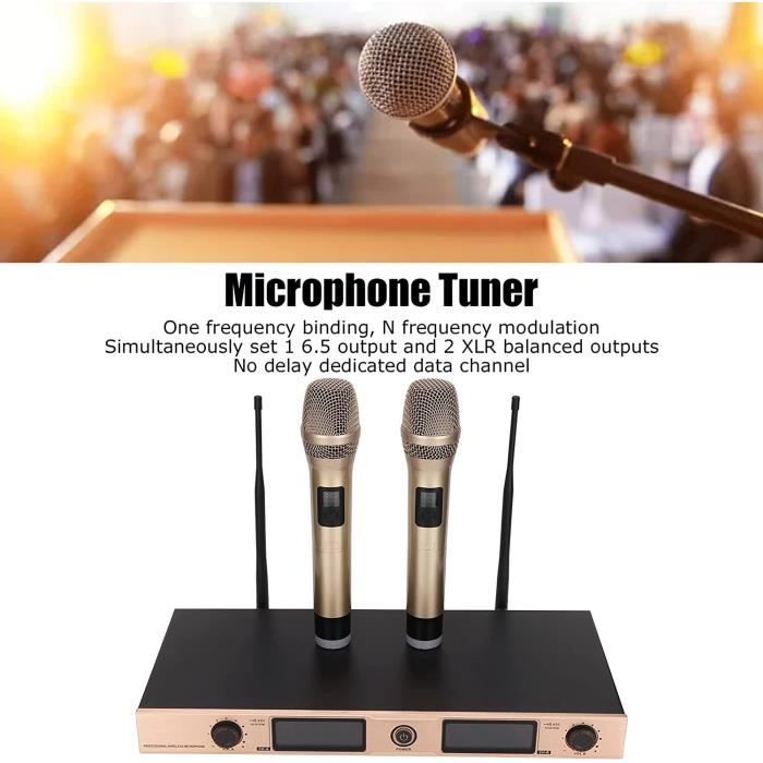 Système de Microphone sans Fil, Système de Karaoké UHF 2x30 Canaux avec ...
