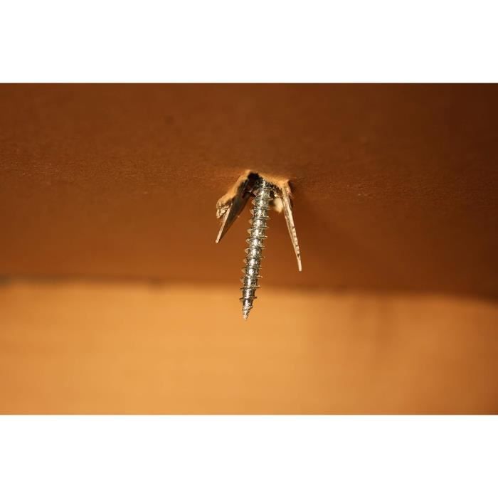 Ram Cheville Gold avec vis, 12mm x 30mm, Boîte de 100.[Q1915 ...