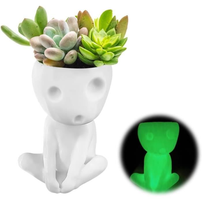 Pot de Fleur Vi , Pot Succulent, Jardinière de à Vi Lumineux avec ...