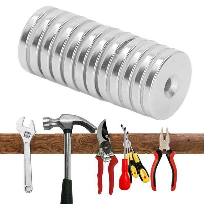 CHE aimant en néodyme rond 12 Pcs Aimant Néodyme 30x5mm Heavy Duty ...