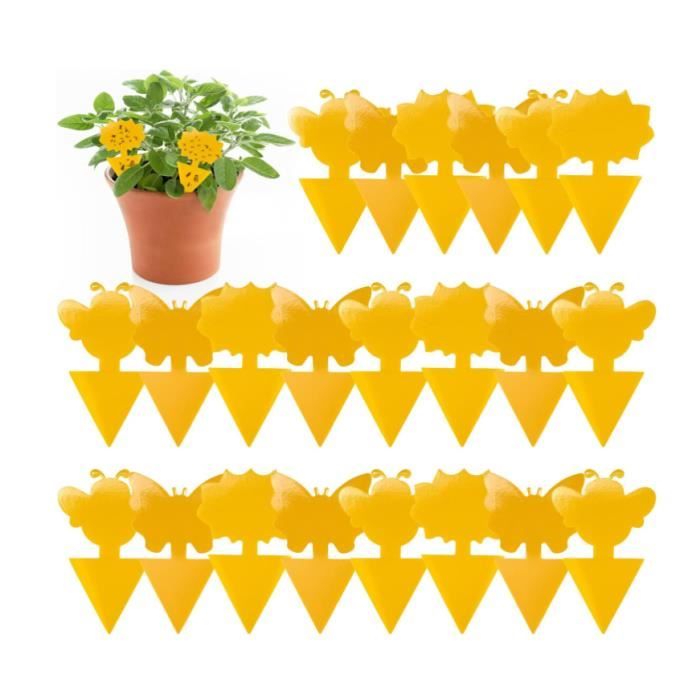 24 Pieces Anti Moucheron Plante, Attrape Moucheron Plantes, Pièges à ...