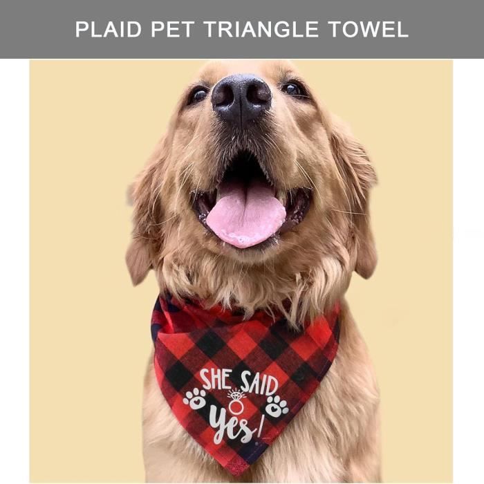 Lot De 2 Bandanas À Carreaux Pour Chien « My Humans Are Getting Married ...