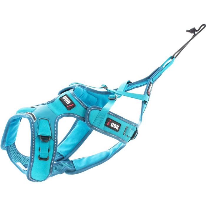 Harnais cani-cross, cani-VTT PHOENIX ALM XL - Cdiscount