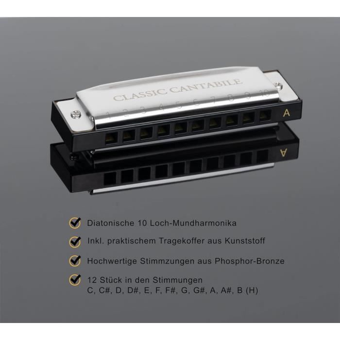 Harmonica - SANAG - AHBS-12 - Set de 12 pièces - Acier inoxydable - Son ...