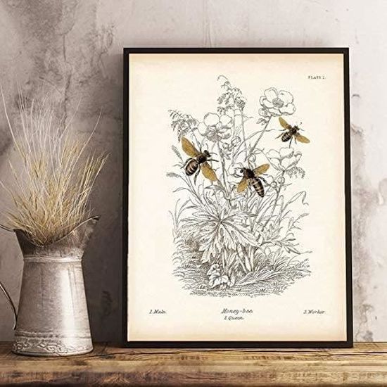 Tableau Murale Vintage Insecte Abeille Affiche éducation Naturelle ...