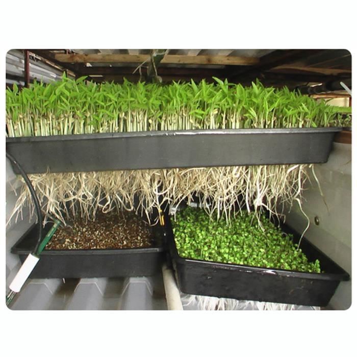 Fafeicy plateau de germination de graines de semis Plaque De Semis ...