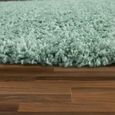 Tapis Shaggy Salon Vert Poils Longs Moelleux Doux Robuste [140x200 cm] - Cdiscount Maison