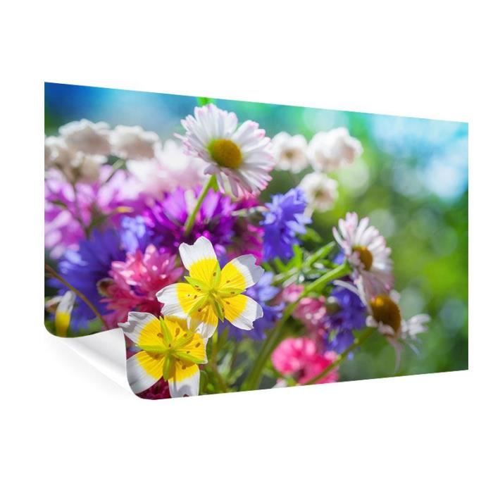 Poster Fleurs de jardin XXL 30 x 20 cm - Cdiscount