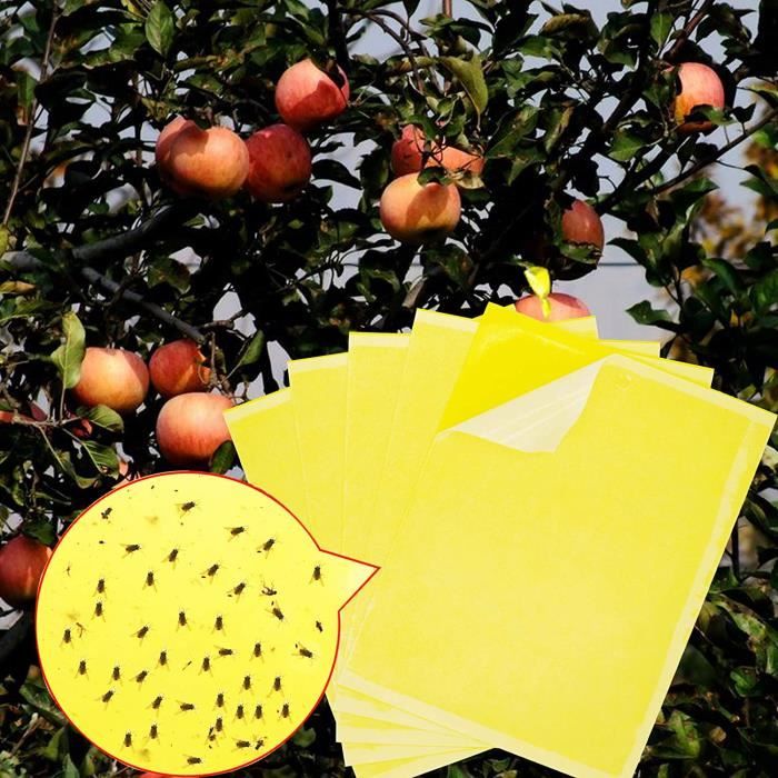 30 Pièges à Insectes Autocollants Double-Face Jaunes Jaune Papier Anti ...