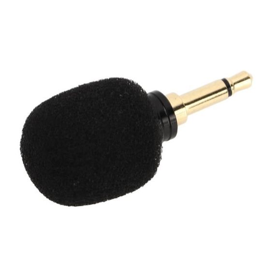 Petit Microphone Mini Microphone Vocal Portable, Petit Micro Pour L ...